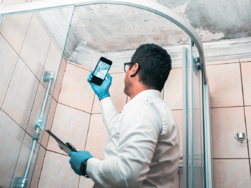Is Mold a Four-Letter Word for REALTORS®? - RASM | REALTOR® Association ...